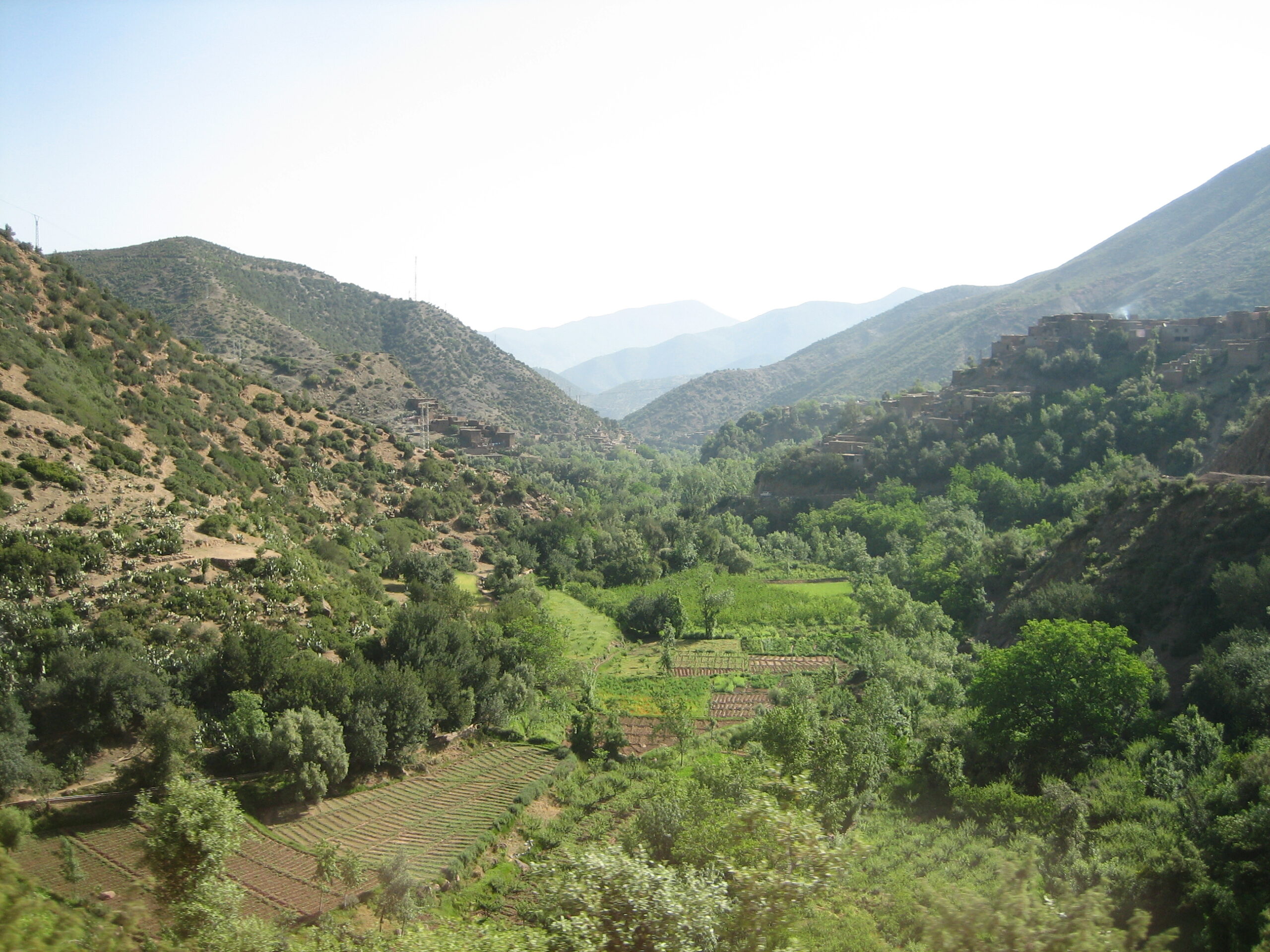 Landscape approaches | SIFI