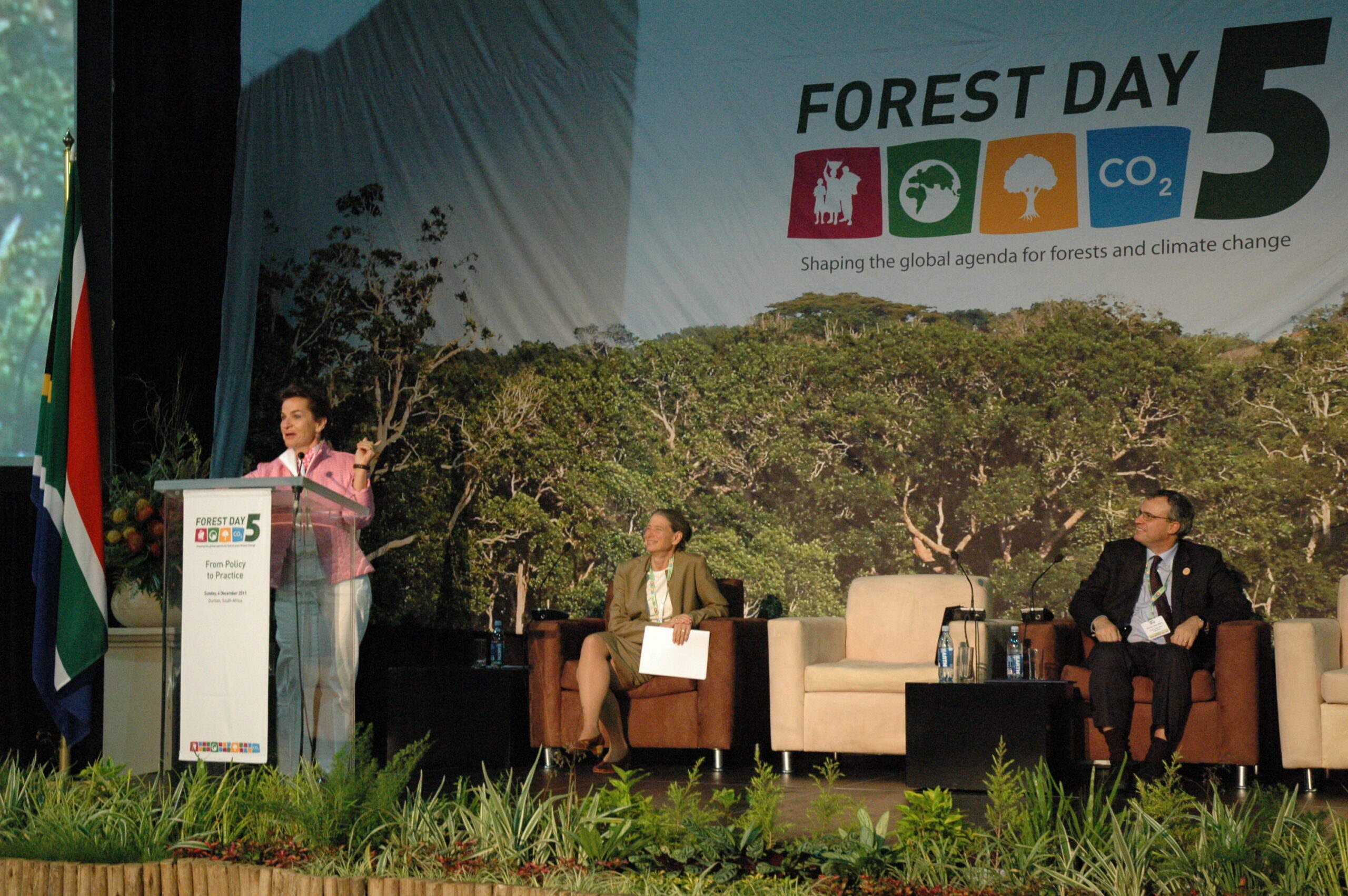 Forest Day 5 in Durban | SIFI