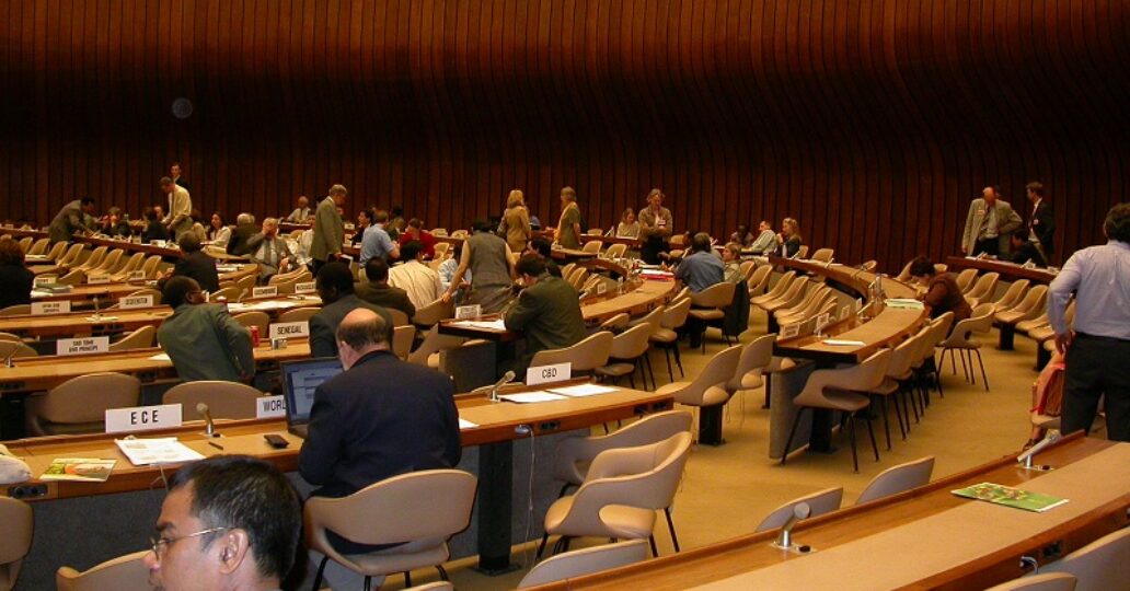 Utvecklingen av UNFF | SIFI