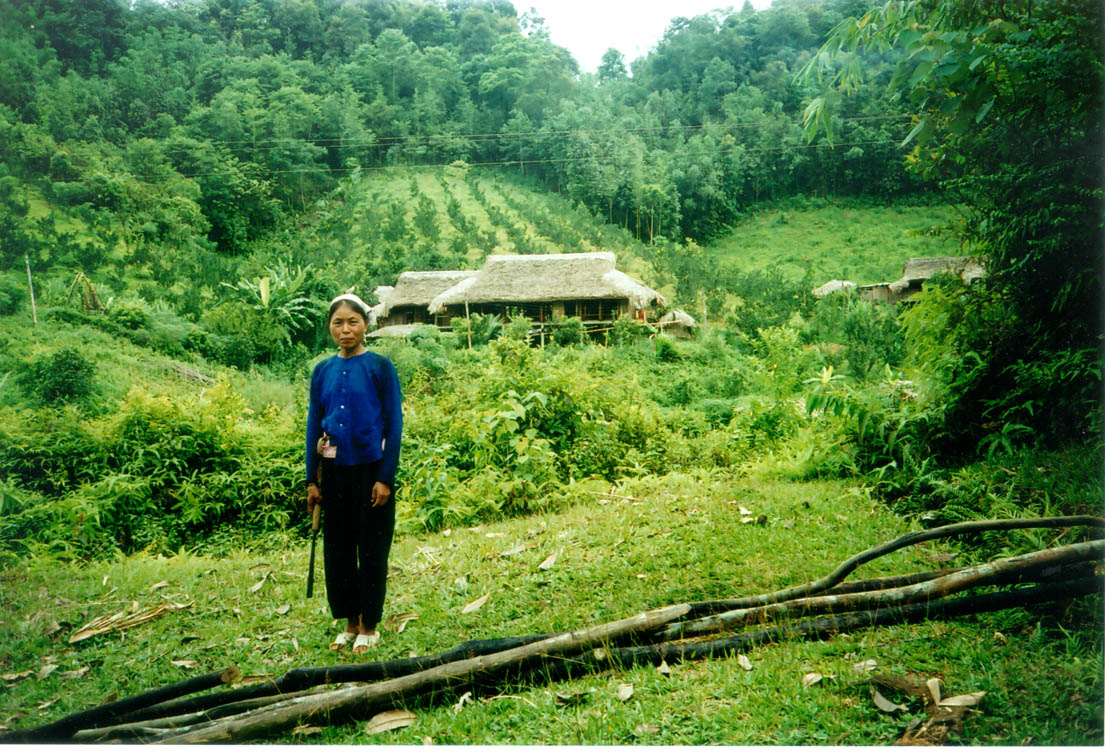 HOUSEHOLD BASED PLANTATION FORESTRY – TRENDS AND LIVELIHOOD | SIFI